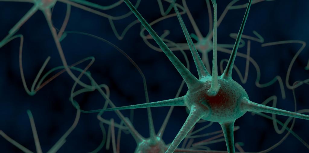 Majors and Minors: Neuroscience | GMU College of Science Majors and Minors: Neuroscience | GMU College of Science