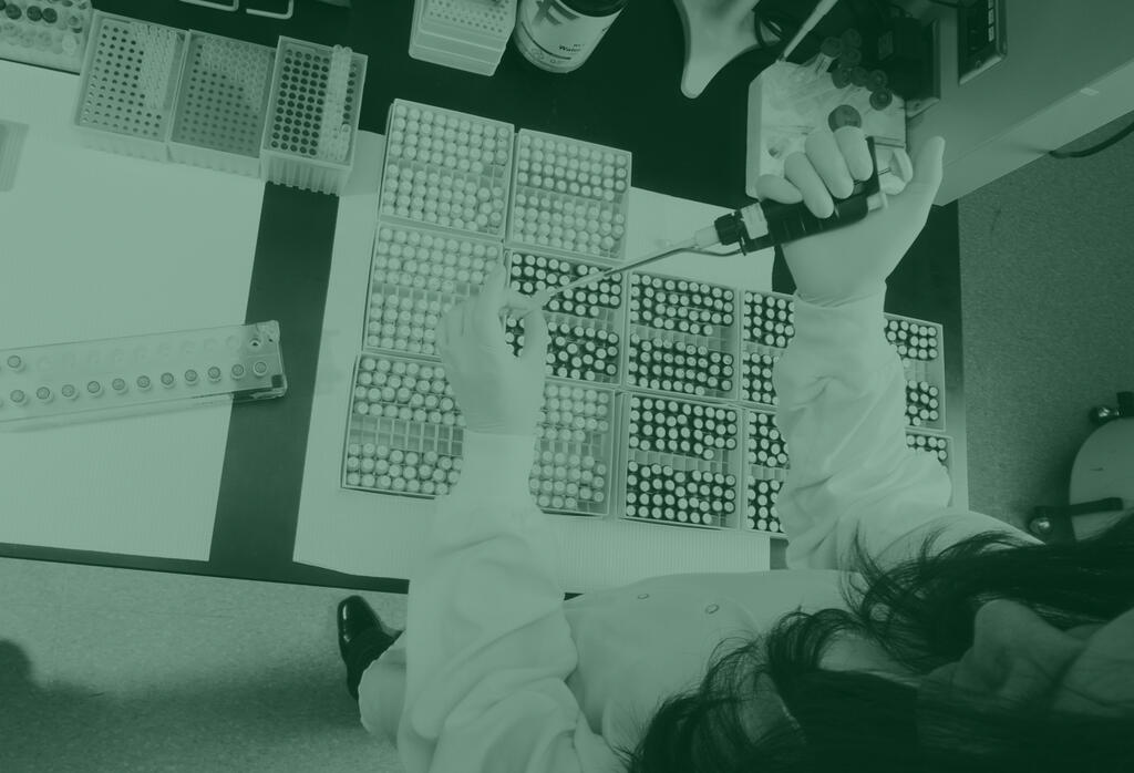 Theoretical and Computation Sciences | GMU College of Science Theoretical and Computation Sciences | GMU College of Science